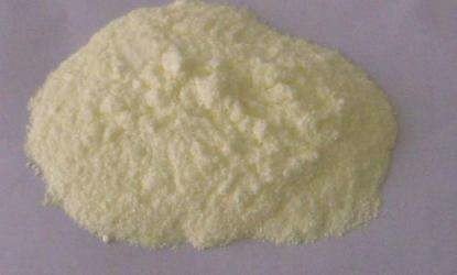 High Specification Purity Baicalin Scutellaria baicalensis georgi L CAS 21967 41 9