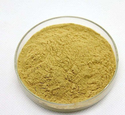 Natural Ingredients Artichoke Extract Powder 2.5% 5% Cynarin
