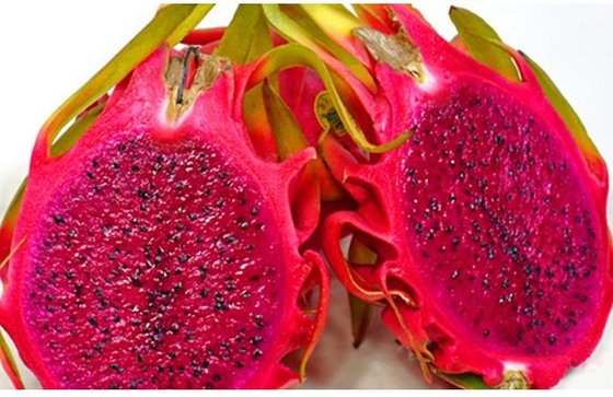 Dragon Fruit Powder Hylocereus Undulatus Britt Rich In Water Soluble Dietary Fiber