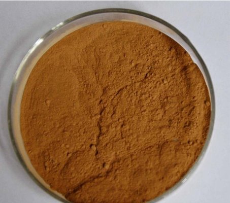 Organic Extract Powder Astragalus Polysaccharides Herb Astragalus membranaceus