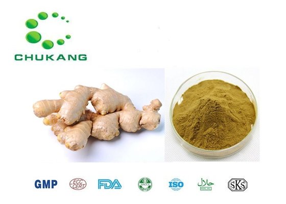 Food Grade IngredientsGinger Powder Zingiber Officinale Roscoe