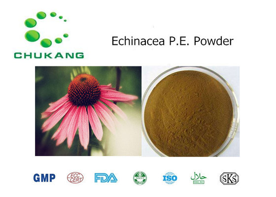 Herb Powder Echinacea Extract CAS 70831 56 0 High Purity Powder