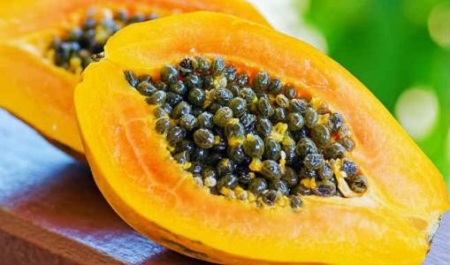 Green Papaya Fruit Juice Powder Carica Papaya L. Wild Herbal