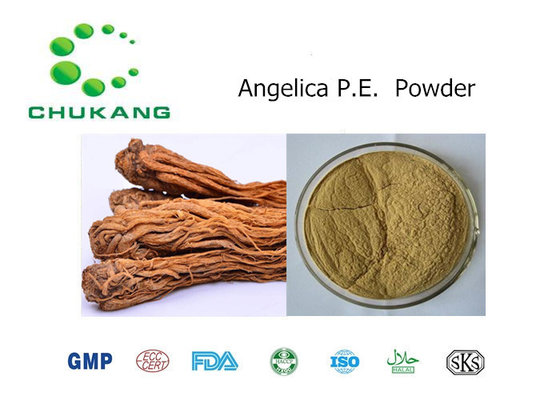 Natural Ingredients Powder Angelica Extract CAS 4431 01 0 Natural Herb Powder