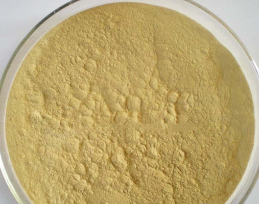 Avocado Fruit Juice Powder Contains A Variety Of Vitamins Rich Fatty Acids And Protein