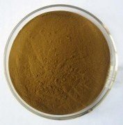 Ginkgo Biloba Plant Extract Powder, Ginkgo Flavoglycosides24%, Terpene Lactones6%