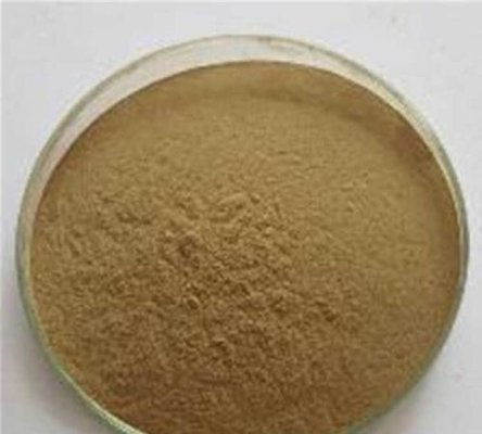 Reishi Mushroom Plant Extract Powder Polysaccharide 10%  25% Herbal Ingredients