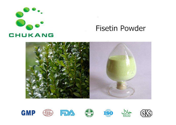 High Purity Fisetin Botanical Powder Used As anti-Inflammatory And Antiproliferative