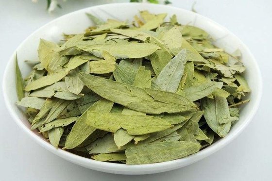 Senna Leaf Plant Extract Powder Folium Sennae CAS 81 27 6 Good Treatment Of Constipation