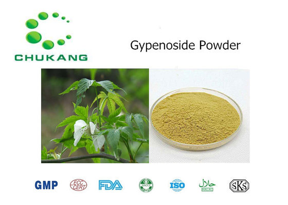 Gynostemma Pentaphylium Plant Extract Powder Gypenoside Pure Nature Powder