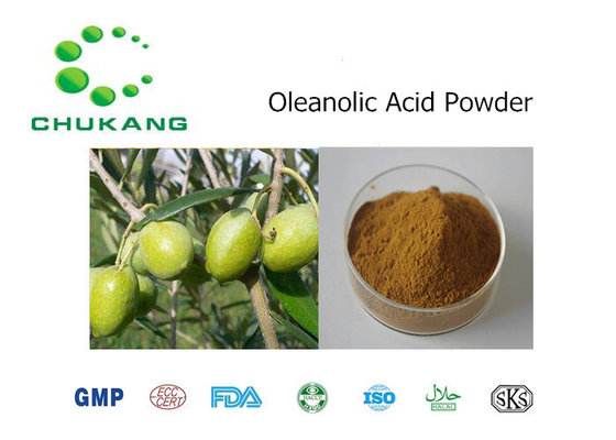 Oleanolic Acid Botanical Powder Anti-Hepatitis Protecting Liver CAS 508 02 1