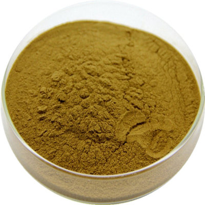 Beer Hops Extract Humulus lupulus Plant Extract Powder CAS 8060 28 4