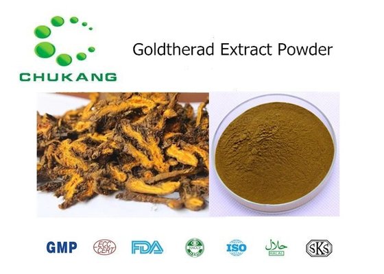 Goldtherad Extract Powdered Herbal Extracts  Rhizoma Coptidis