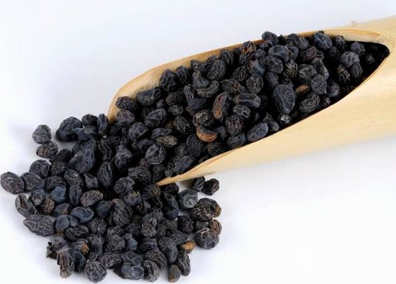 Food Ingredients Glossy Privet Fruit Extract Fructus Ligustri Lucidi