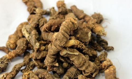 Goldtherad Extract Powdered Herbal Extracts  Rhizoma Coptidis