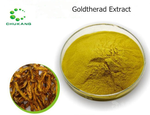 Goldtherad Extract Powdered Herbal Extracts  Rhizoma Coptidis