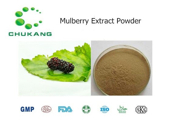 Mulberry Extract Powdered Herbal Extracts  Fructus Mori Hypotensive Effect