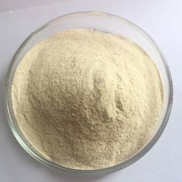 Boswellia CAS 38 26 6 Plant Extract Powder Boswellic Acid Frankincens