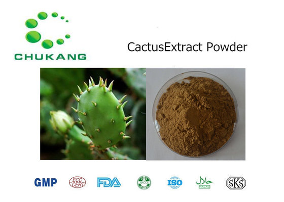 Cactus Extract Promoting Blood Circulation And Lowering Blood Pressure