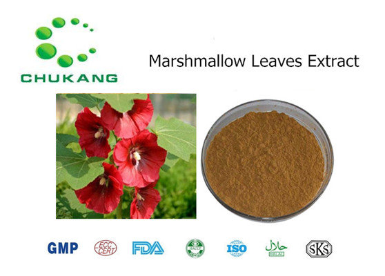 Pure Nature Marshmallow Leaves Extract Althaea Officinalis Leaves Extract