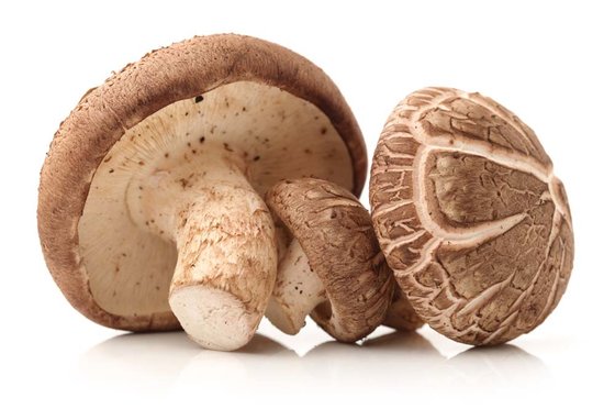 Shiitake Extract Powder Powdered Herbal Extracts Medicine And Health Protecting Food