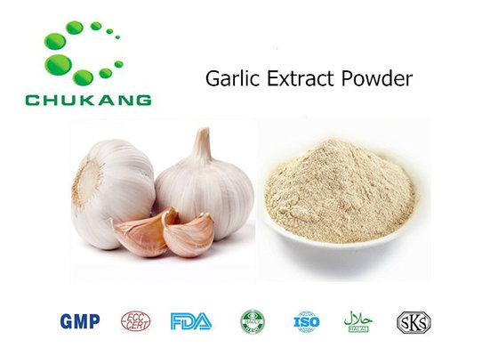 Garlic Extract Allicin Plant Extract Powder Allium Sativum L.Food Ingredients