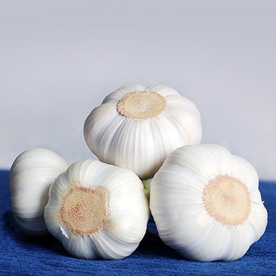 Garlic Extract Allicin Plant Extract Powder Allium Sativum L.Food Ingredients