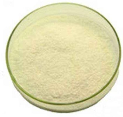 Tetrahydropalmatine Plant Extract Powder Corydalis yanhusuo Cas 10097 84 4