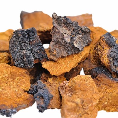 Inonotus Obliquus Plant Extract Powder Polysaccharides; Triterpenes High Purity Powder