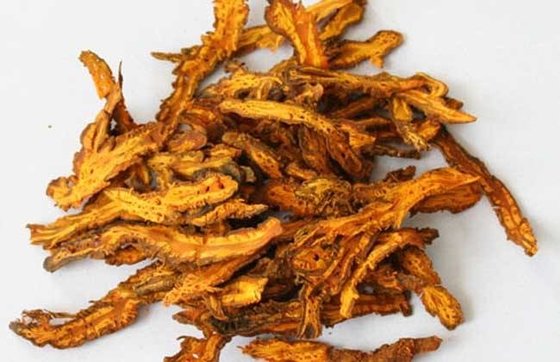 Berbenine Plant Extract Powder Berberis jamesiana Food Ingredients CAS 478 61 5