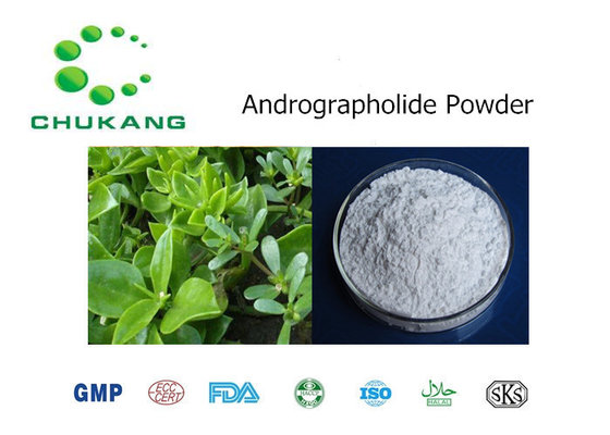 Andrographis Paniculata Plant Extract Powder Andrographolide CAS 5508 58 7