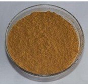Olive Leaf Plant Extract Powder Oleuropein CAS 32619 42 4 Olea Europaea L.