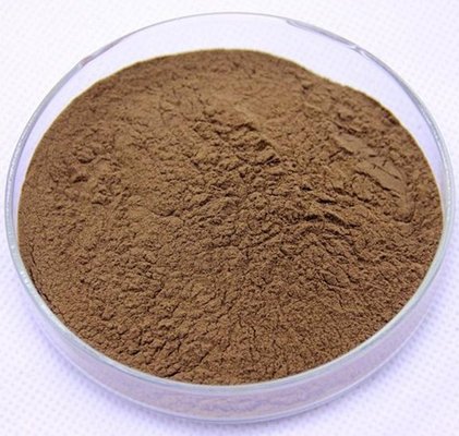 Wild Jujube Plant Extract Powder Jujubosides Powder CAS 55466 04 1