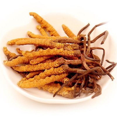 Cordyceps Sinensis Plant Extract Powder Cordycepic Acid Organic Herbal Powder
