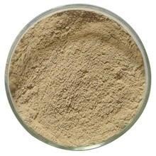 Angelica Powdered Herbal Extracts Radix Angelicae Sinensis Natural Ingredients