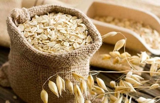 Oat Powdered Herbal Extracts Avena Sativa L Natural Herb Powder
