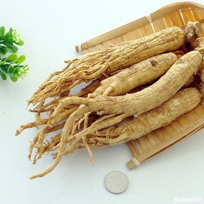 Ginseng Powdered Herbal Extracts Panax Ginseng C A Mey Herbal Ingredients