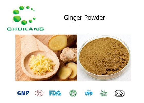 Ginger Powdered Herbal Extracts Zingiber Officinale Roscoe High Purity Powder