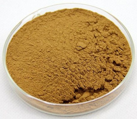Ginger Powdered Herbal Extracts Zingiber Officinale Roscoe High Purity Powder