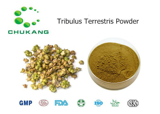 Tribulus Terrestris Powdered Herbal Extracts Yellow Brown Natural Herb Powder