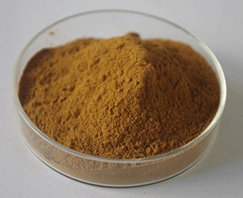 Tribulus Terrestris Powdered Herbal Extracts Yellow Brown Natural Herb Powder