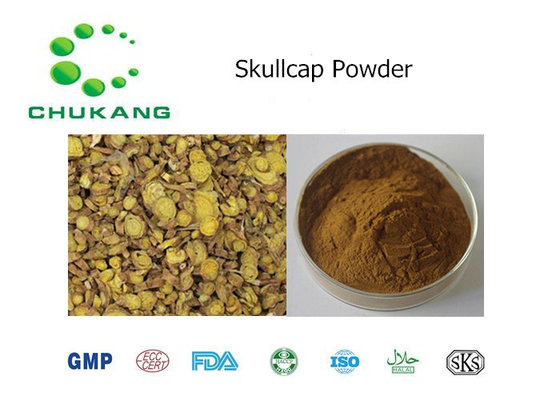 Skullcap Powdered Herbal Extracts Scutellaria Baicalensis Georgi Food Ingredients