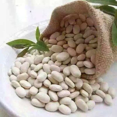 White Kideny Bean Powdered Herbal Extracts Phaseolus Vulgaris Linn Food Ingredients