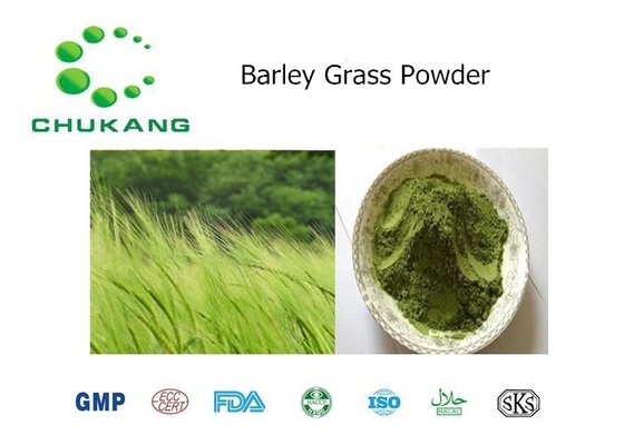 Barley Grass Powdered Herbal Extracts Hordeum Vulgare L High Purity Powder