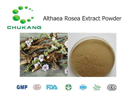 Althaea Rosea Extract Powdered Herbal Extracts ratio 5:1 10:1