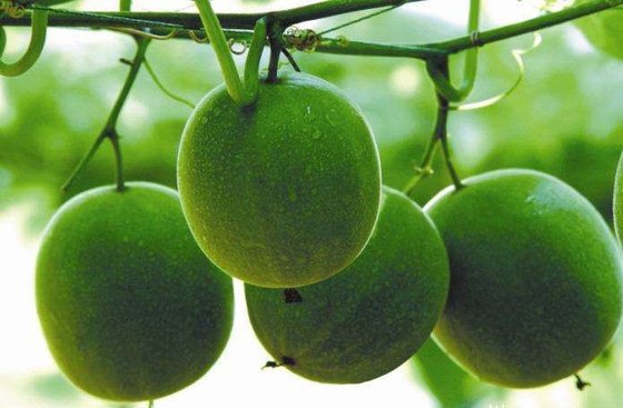Luo Han Guo Extract Food Industry Grade Fruit Extract Powder Natural Sweetener Cas 88901 36 4