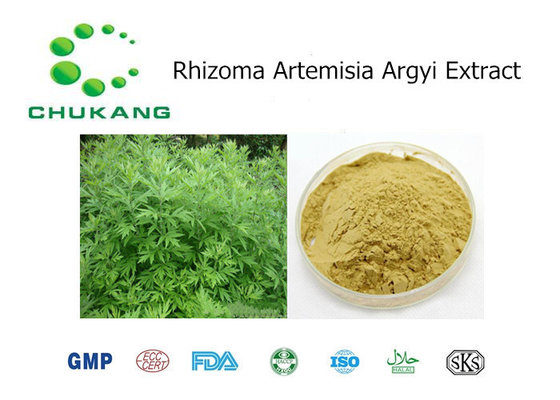 TLC Tested Powdered Herbal Extracts Artemisia Argyi Extract With Hemostatic Effect