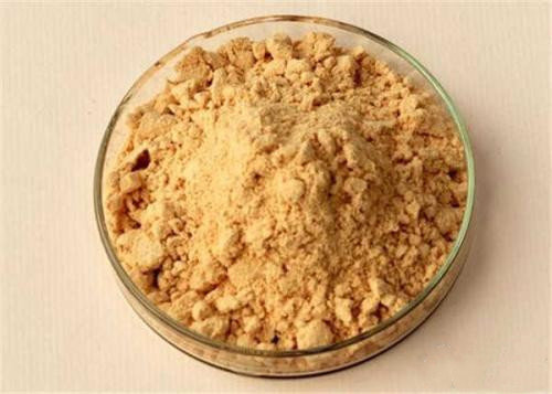 TLC Tested Powdered Herbal Extracts Artemisia Argyi Extract With Hemostatic Effect