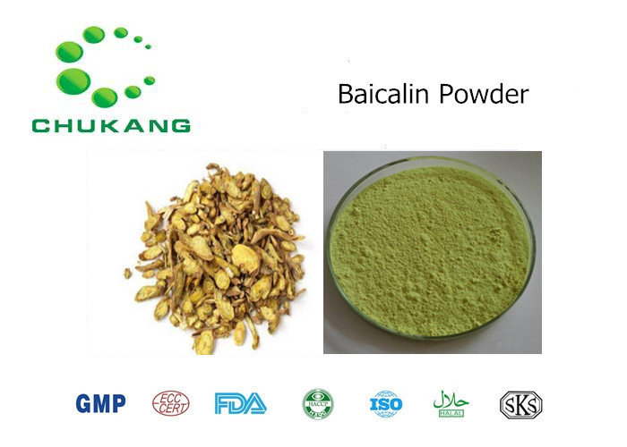 High Specification Purity Baicalin Scutellaria baicalensis georgi L CAS 21967 41 9
