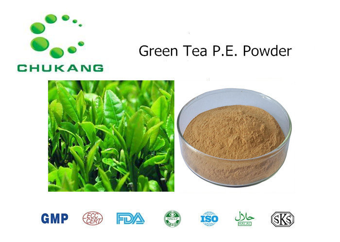 Green Tea Plant Extract Powder CAS 989 51 5 Camellia sinensis Natural  Powder